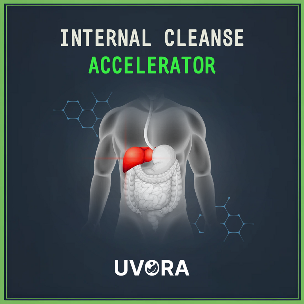 Products – Uvora